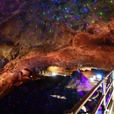 Cheongok Golden Bat Cave - Trazy, Korea's #1 Travel Shop